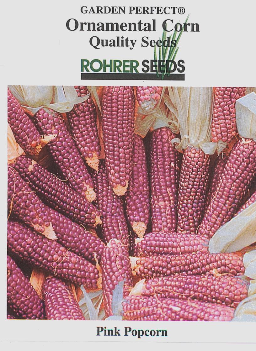 Grow Your Own Princess Popcorn — Rohrer Seeds