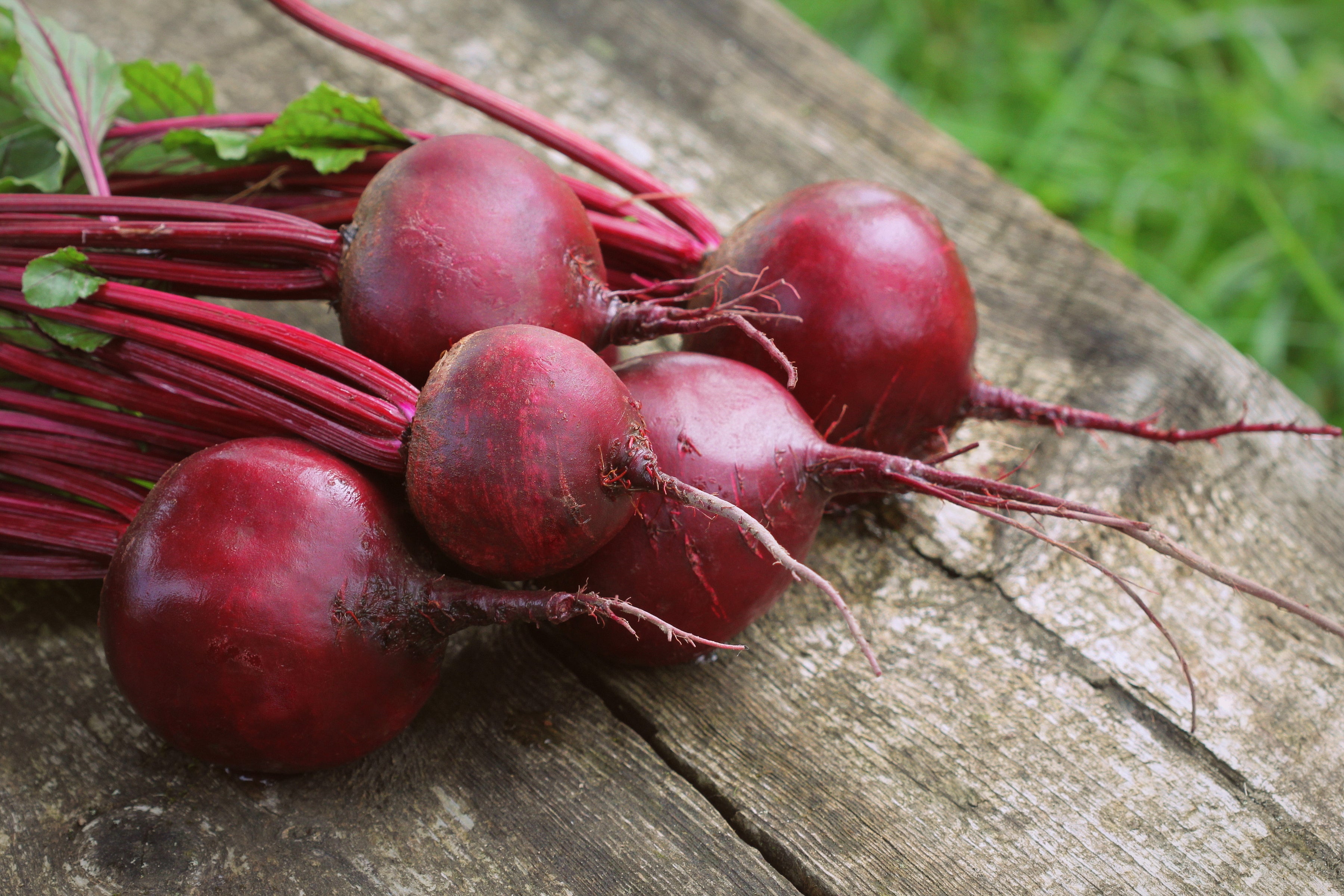Beets! Beets! Beets! Growing and using beets grown from seed. — Rohrer ...