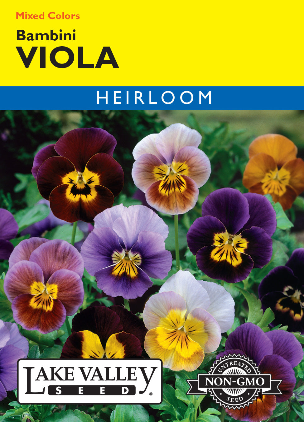 Viola Seeds — Rohrer Seeds