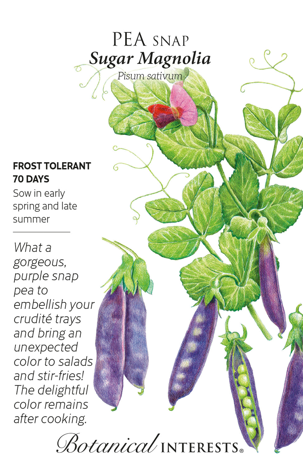 Snap Peas — Rohrer Seeds