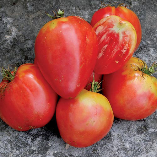 Hungarian Heart Tomato — Rohrer Seeds