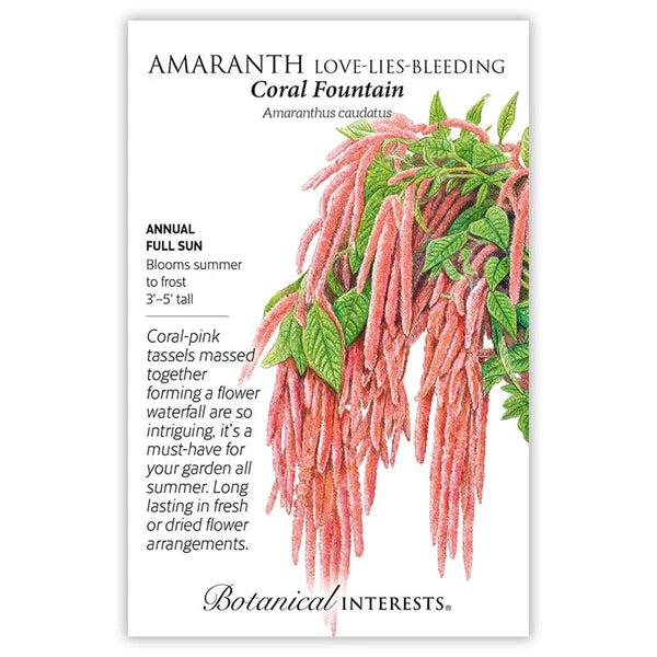 Amaranth Coral Fountain — Rohrer Seeds