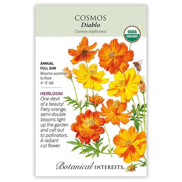 Cosmos Diablo — Rohrer Seeds