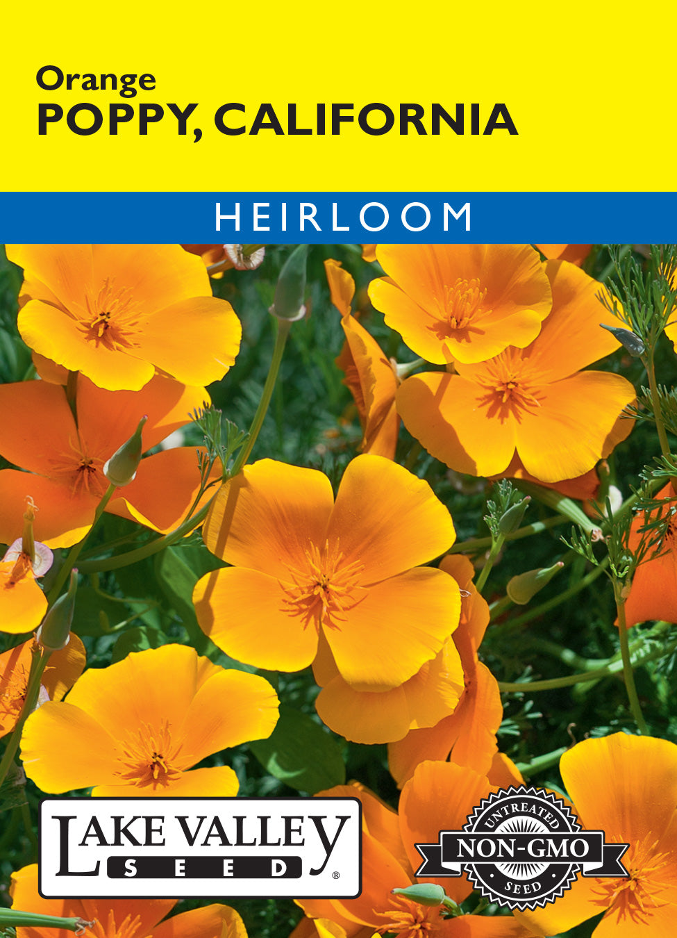 California Orange Poppy — Rohrer Seeds