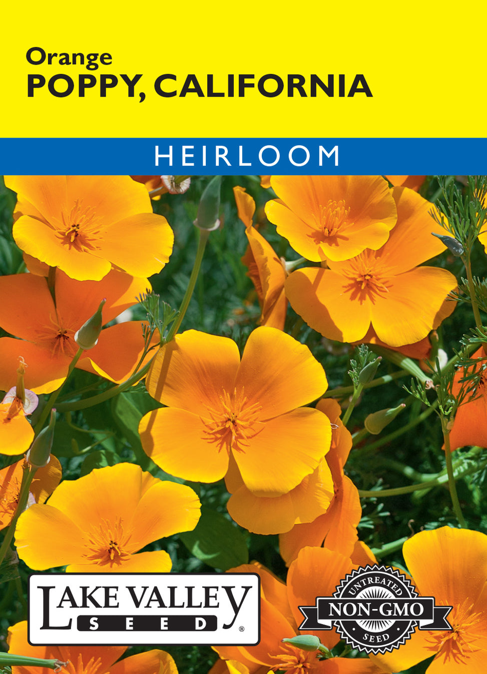 Poppy — Rohrer Seeds