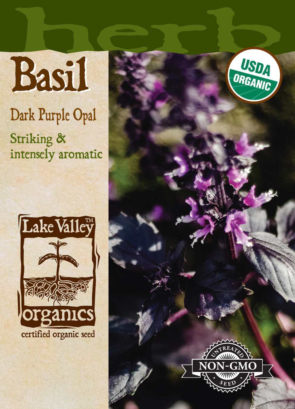 Organic Purple Dark Opal Basil — Rohrer Seeds