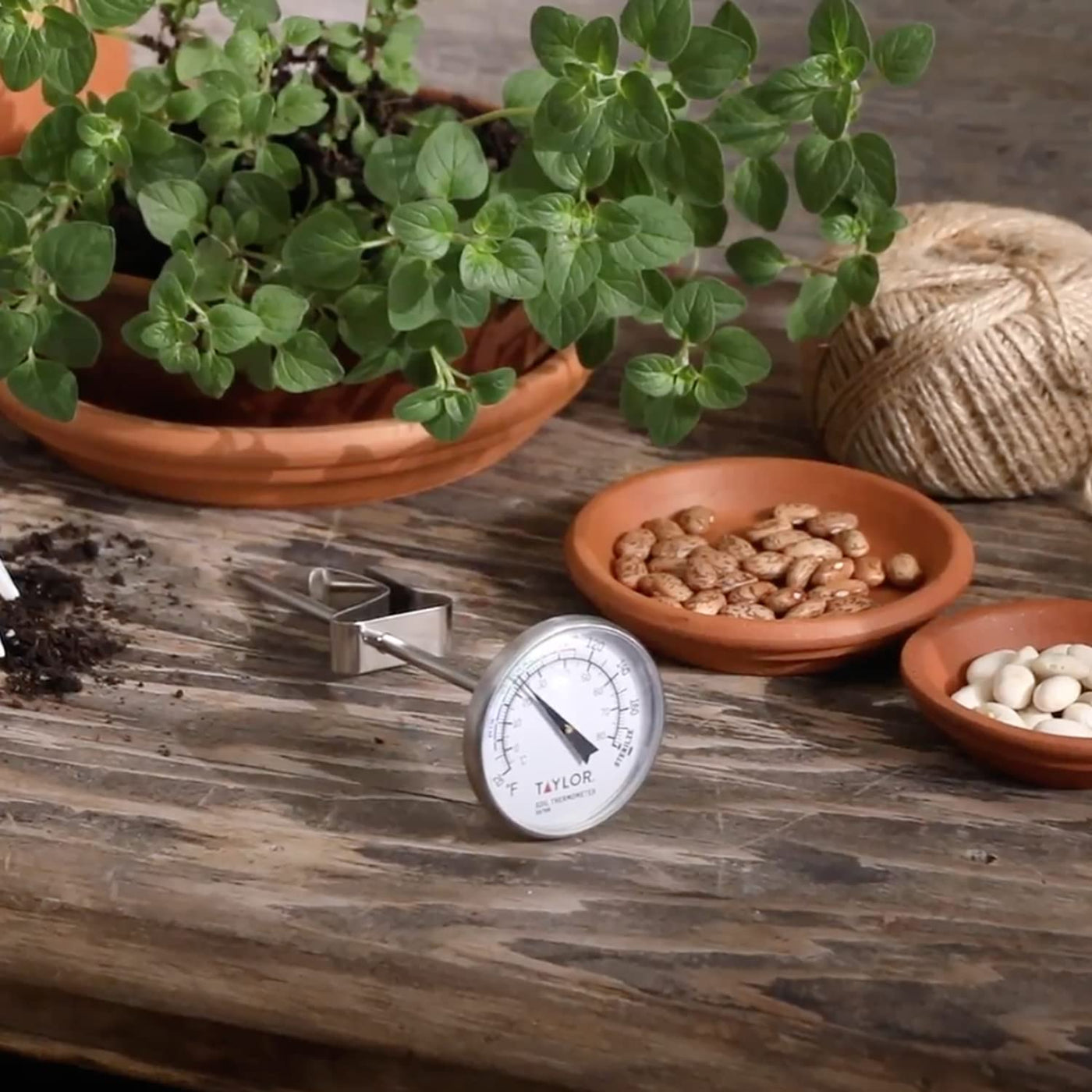 Taylor Indoor & Outdoor Soil Thermometer — Rohrer Seeds