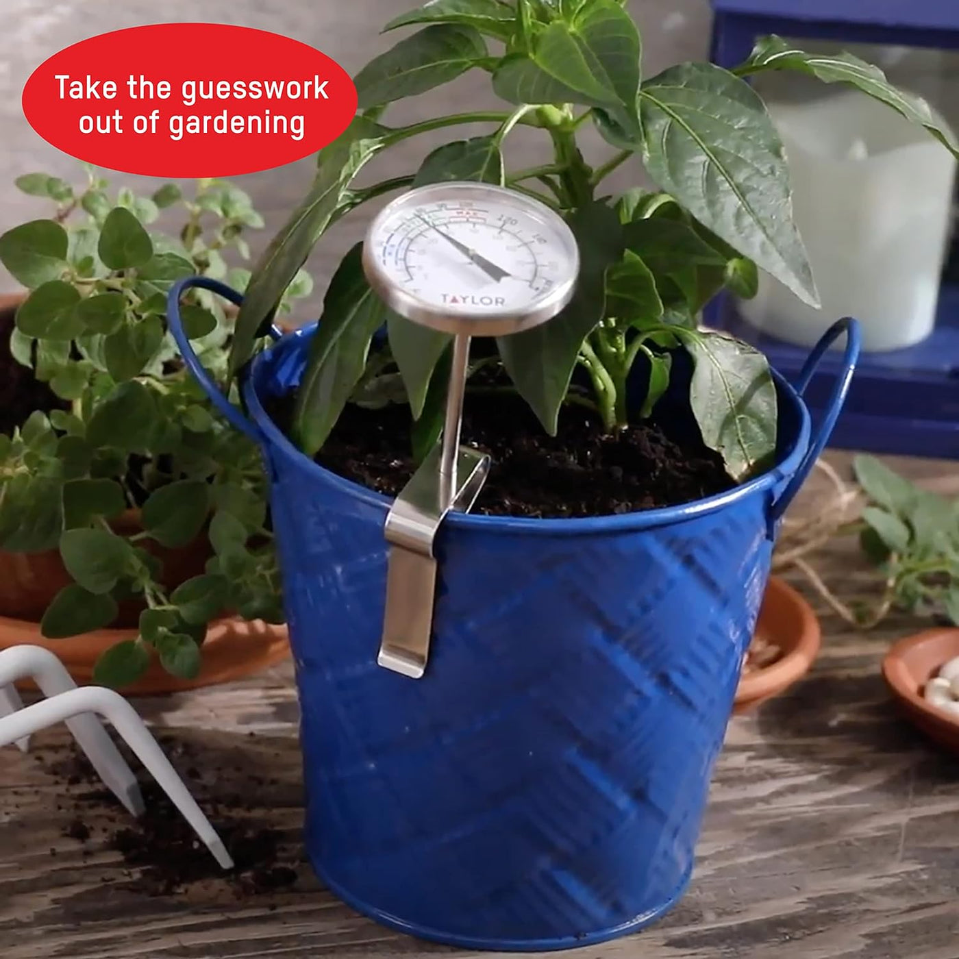 Taylor Indoor & Outdoor Soil Thermometer — Rohrer Seeds