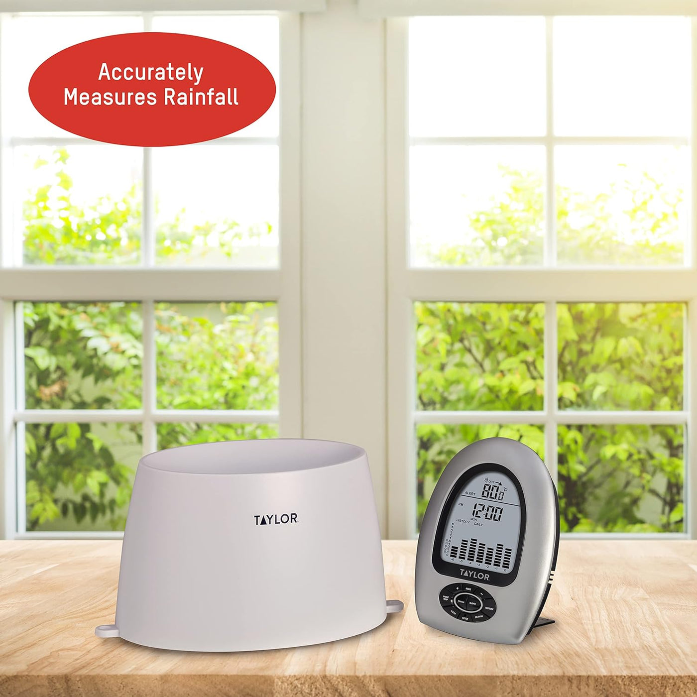 Home Depot Rain Gauge Taylor Rain Gauge – Simple Outdoor Weather Tool ...