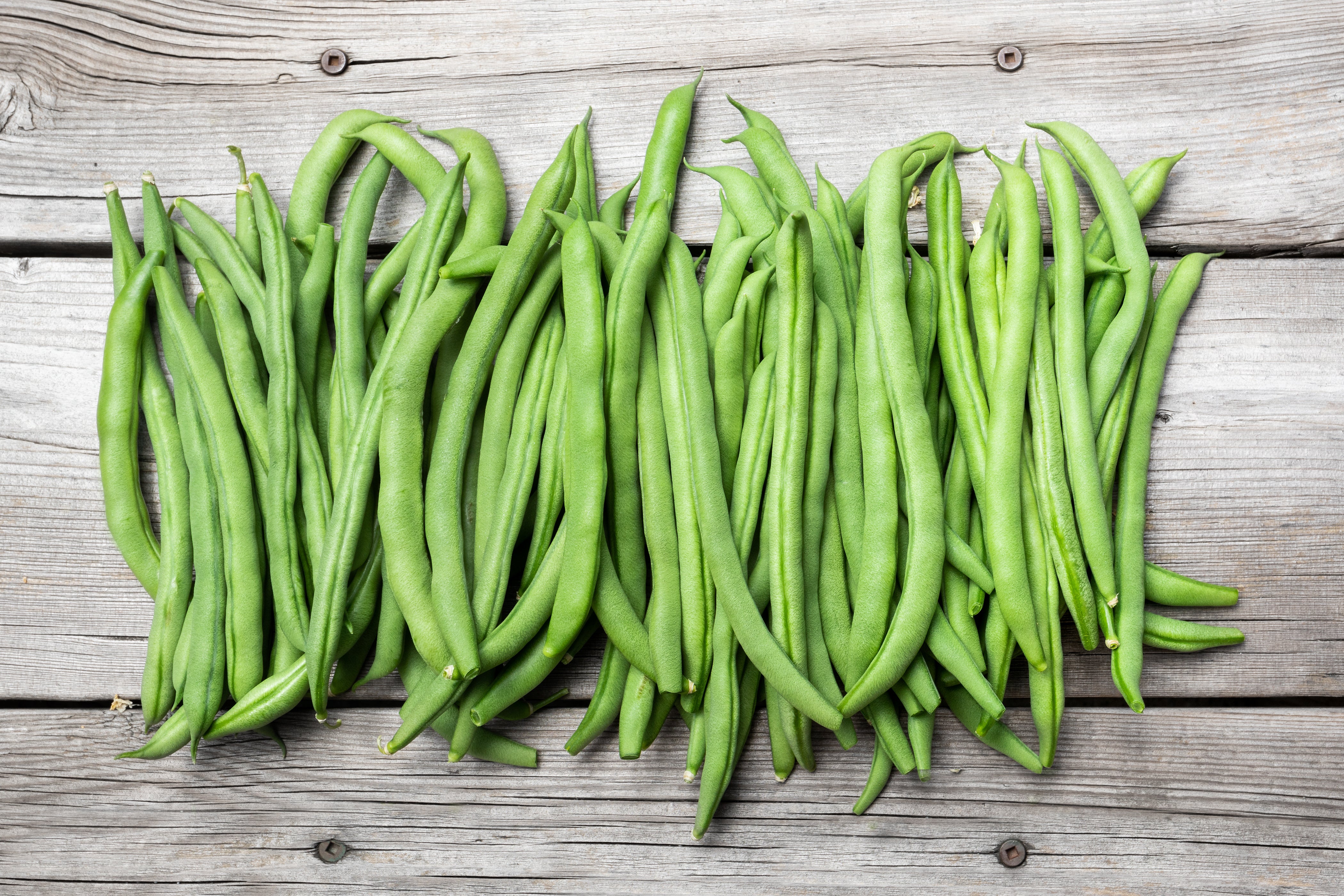 Stringless Bean Varieties