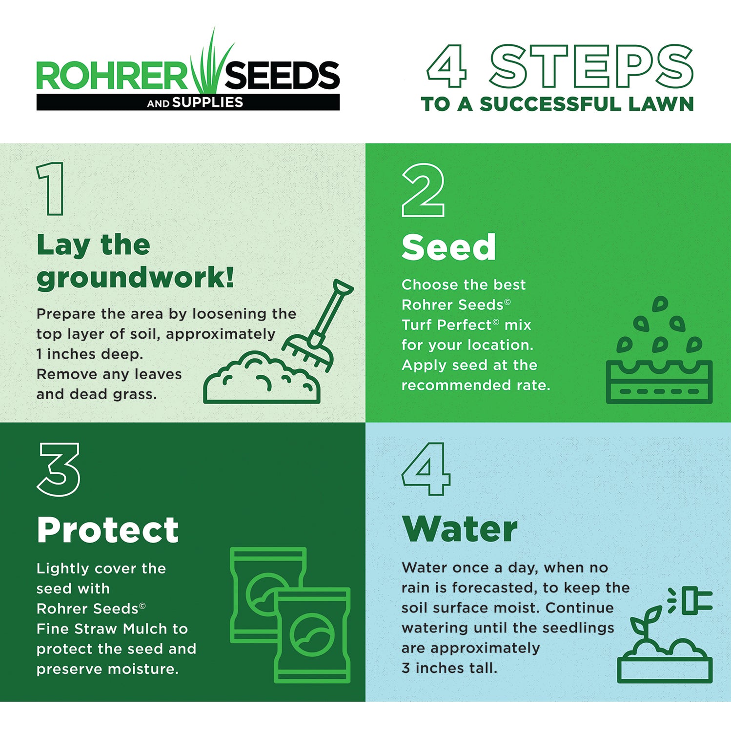 Sport Turf Rye Grass Seed Blend — Rohrer Seeds