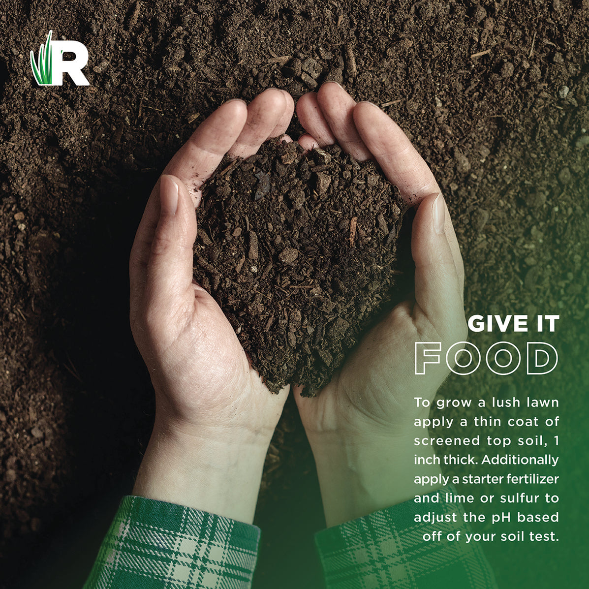 Sport Turf Rye Grass Seed Blend — Rohrer Seeds