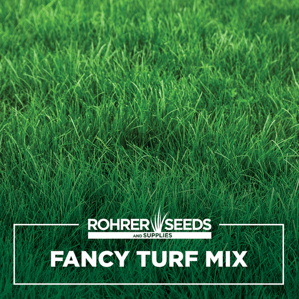 Fancy Lawn Mix - It's Called Fancy For a Reason! This Premium Blend of ...