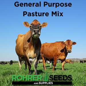 General Purpose Pasture Mix Seed — Rohrer Seeds