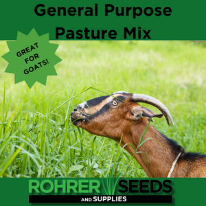 General Purpose Pasture Mix Seed — Rohrer Seeds