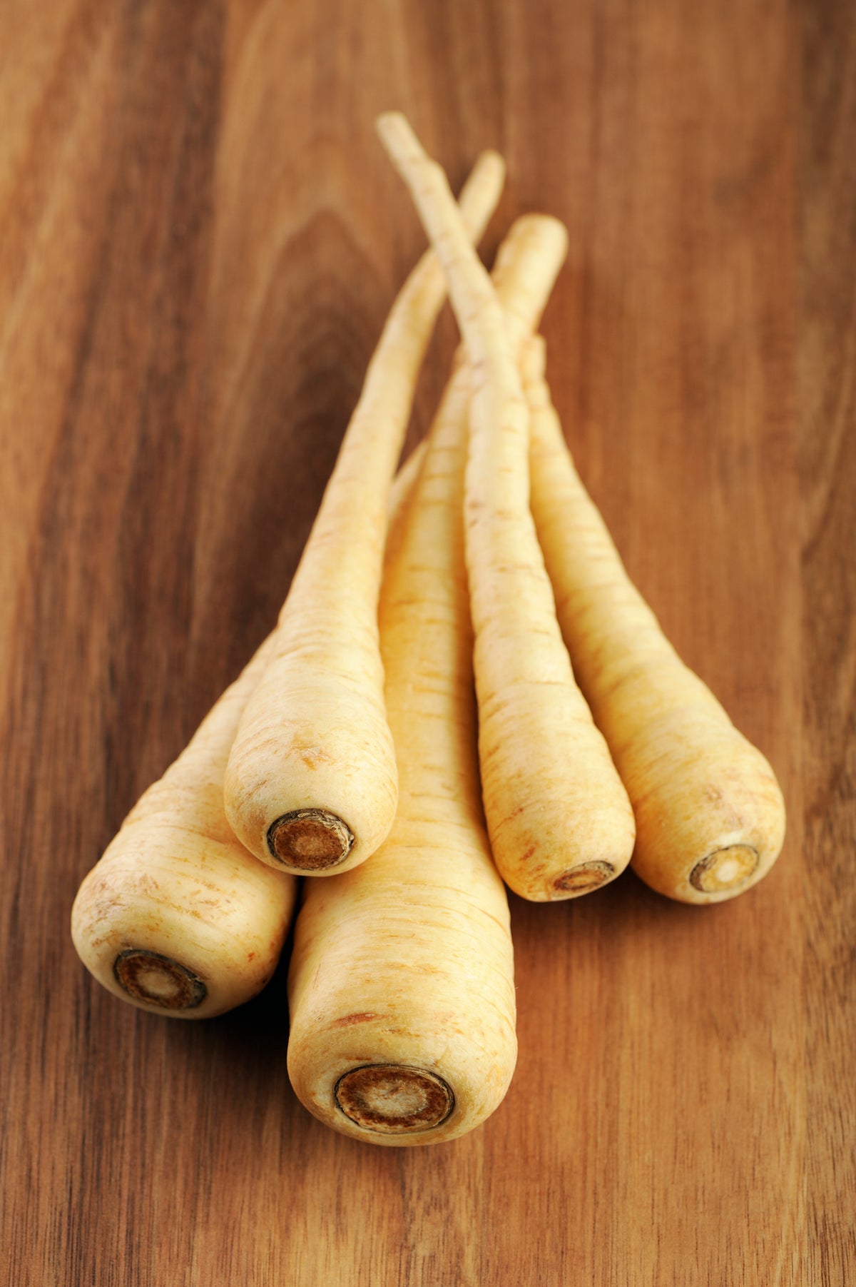 Hollow Crown Parsnip Seeds — Rohrer Seeds