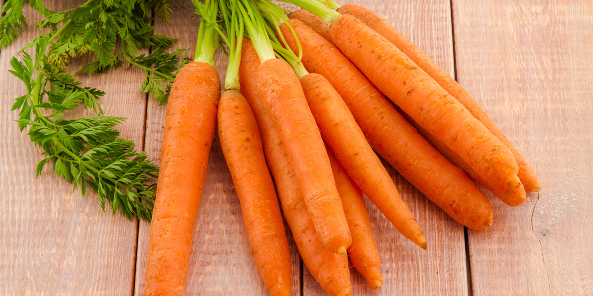 Little Finger Carrot Seeds — Rohrer Seeds