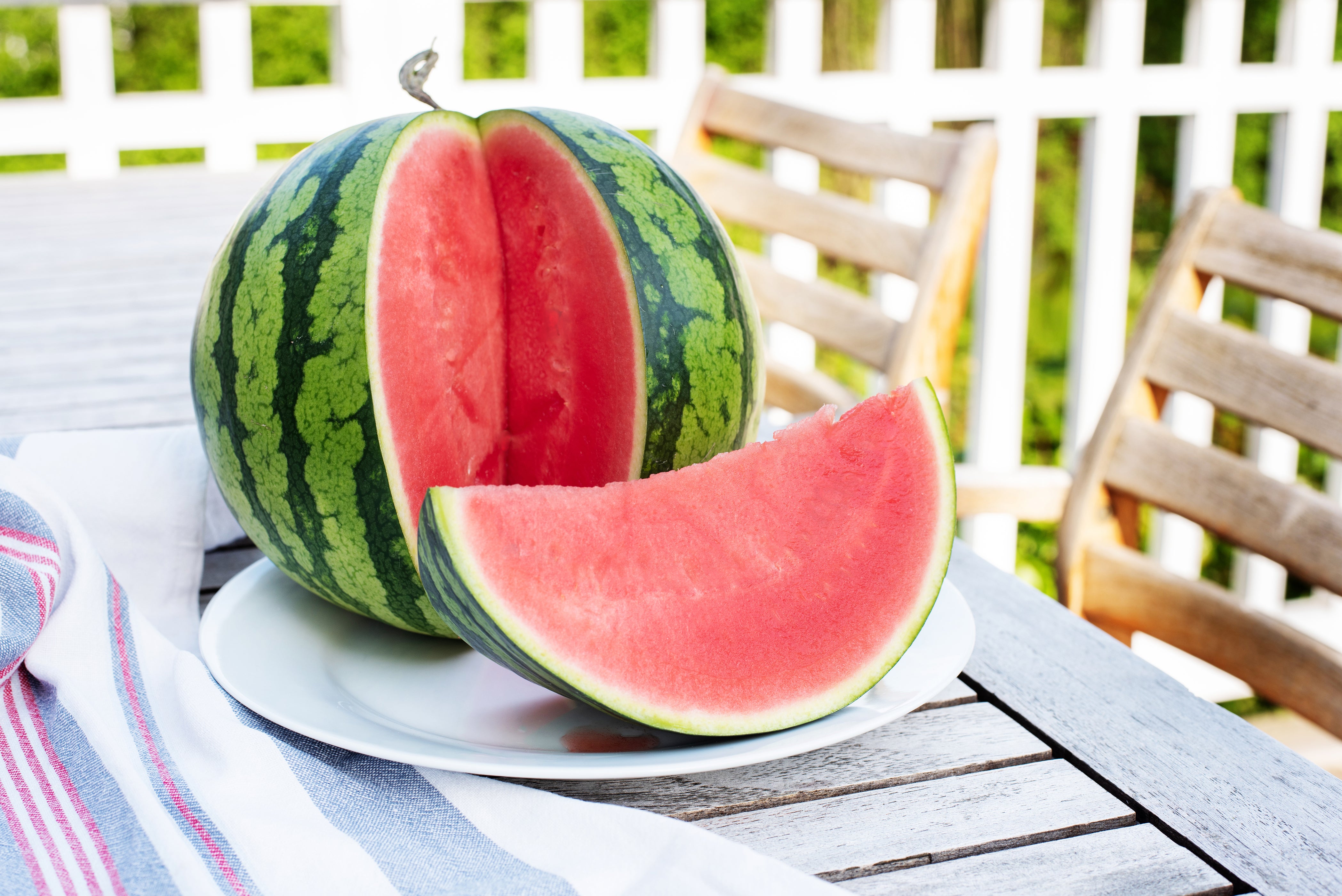 Ruby Seedless Watermelon Seeds — Rohrer Seeds
