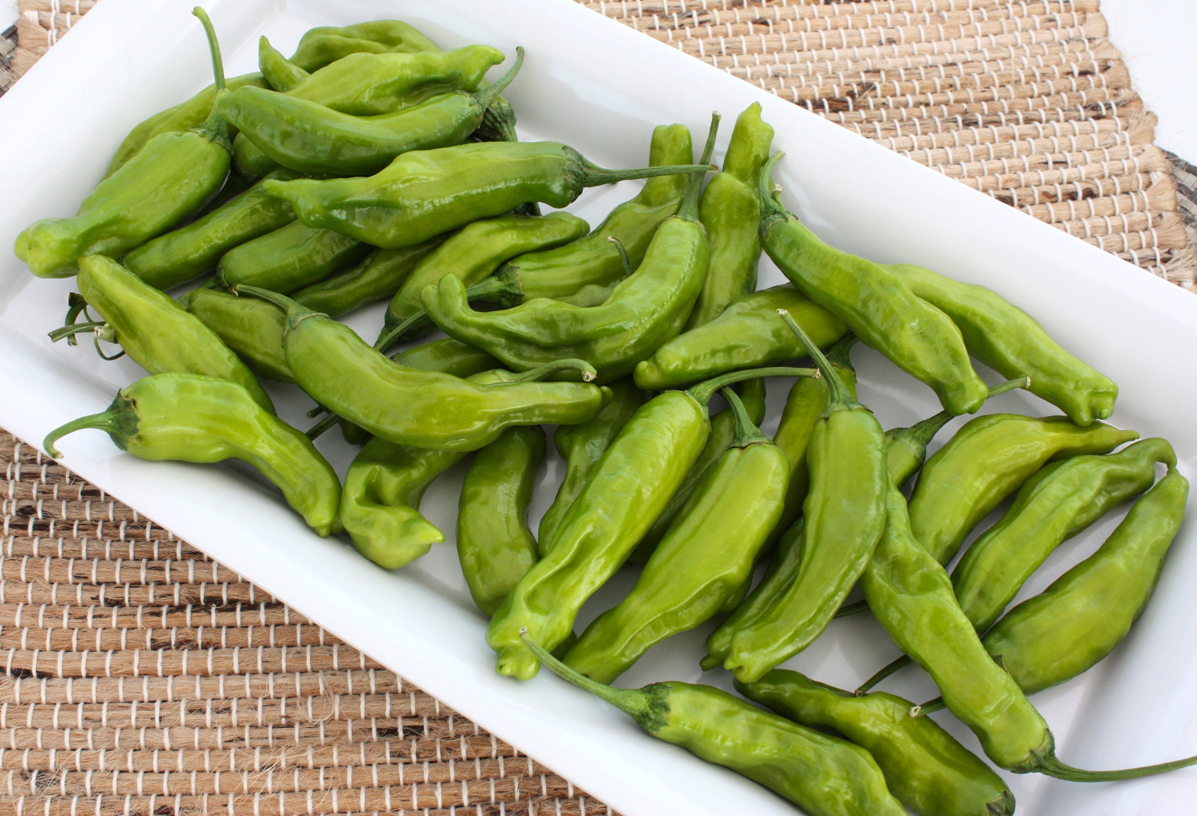 Takara Shishito Hybrid Pepper (Pkt) — Rohrer Seeds