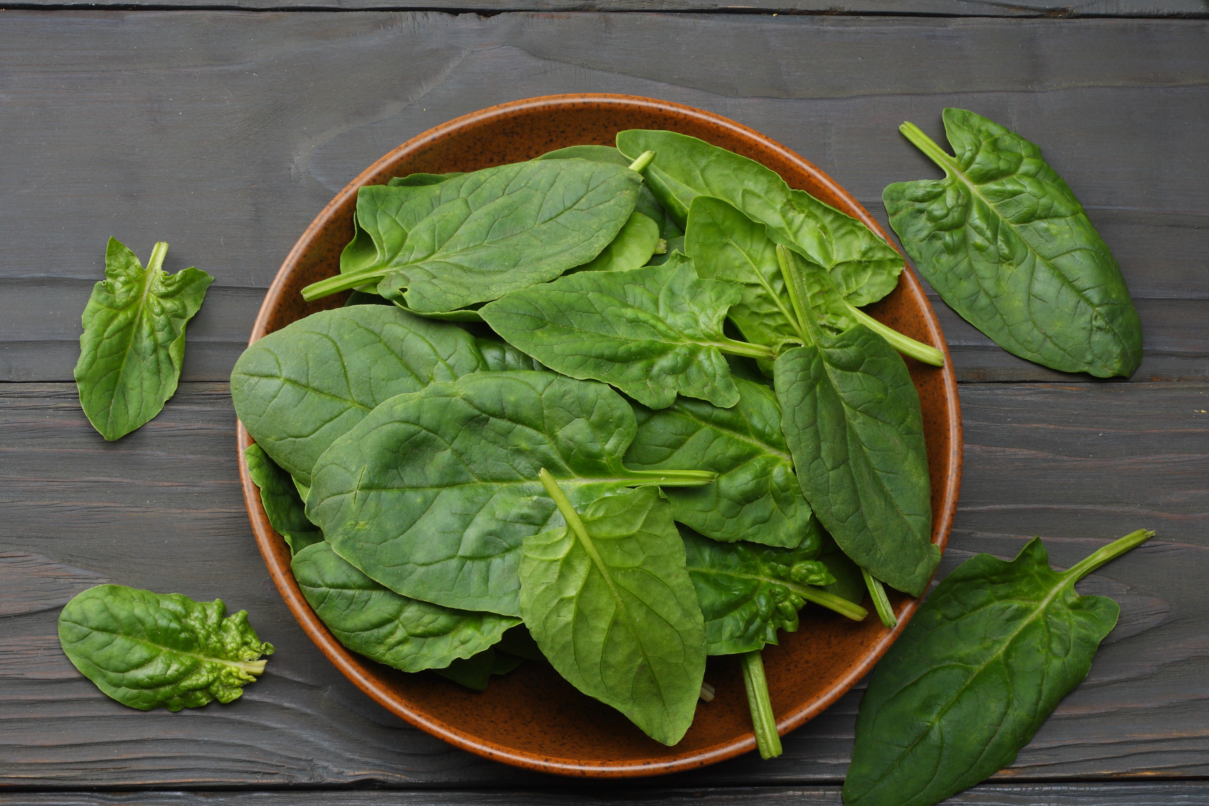 Winter Giant Spinach Seeds — Rohrer Seeds