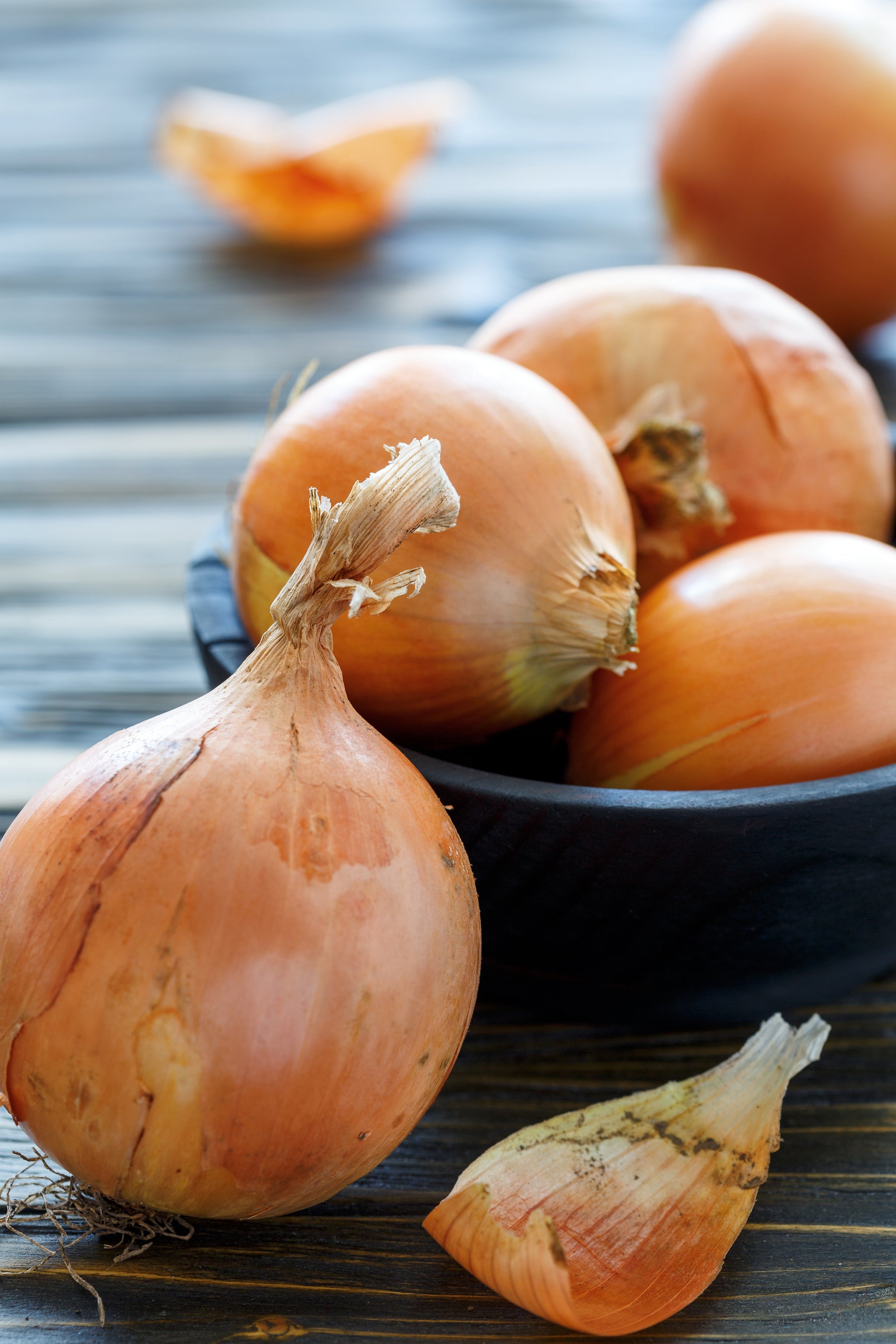 Onion Seed — Rohrer Seeds
