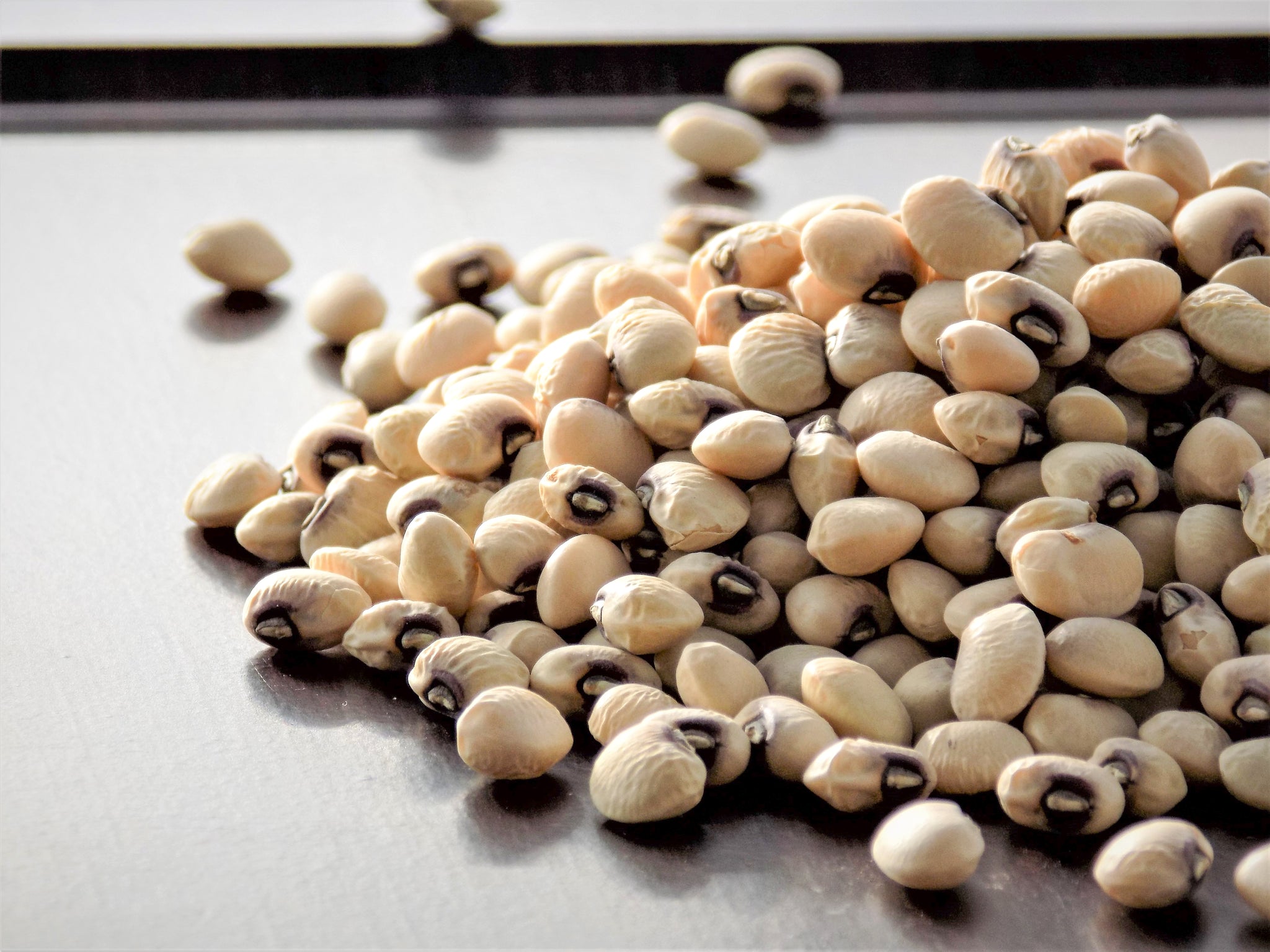 Dry/Shell Bean Seeds — Rohrer Seeds