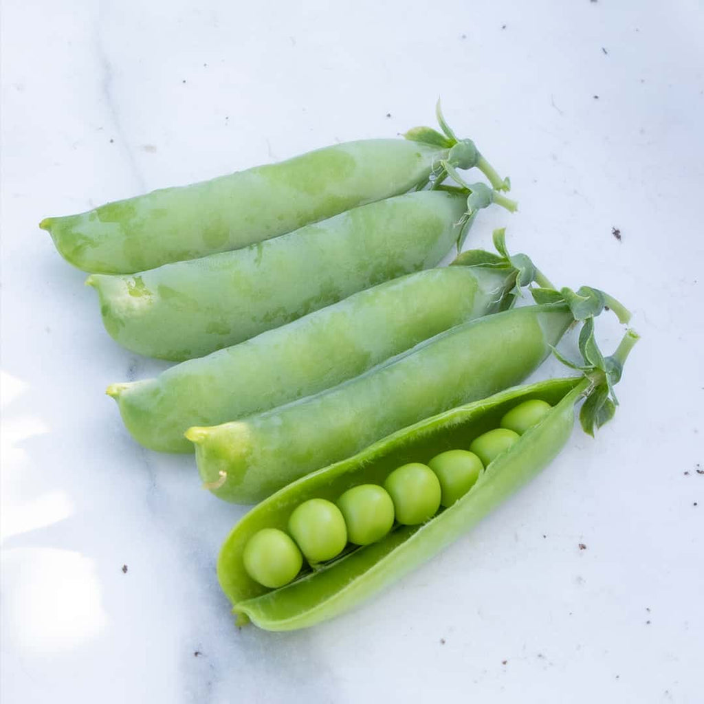 Pea Seeds — Rohrer Seeds