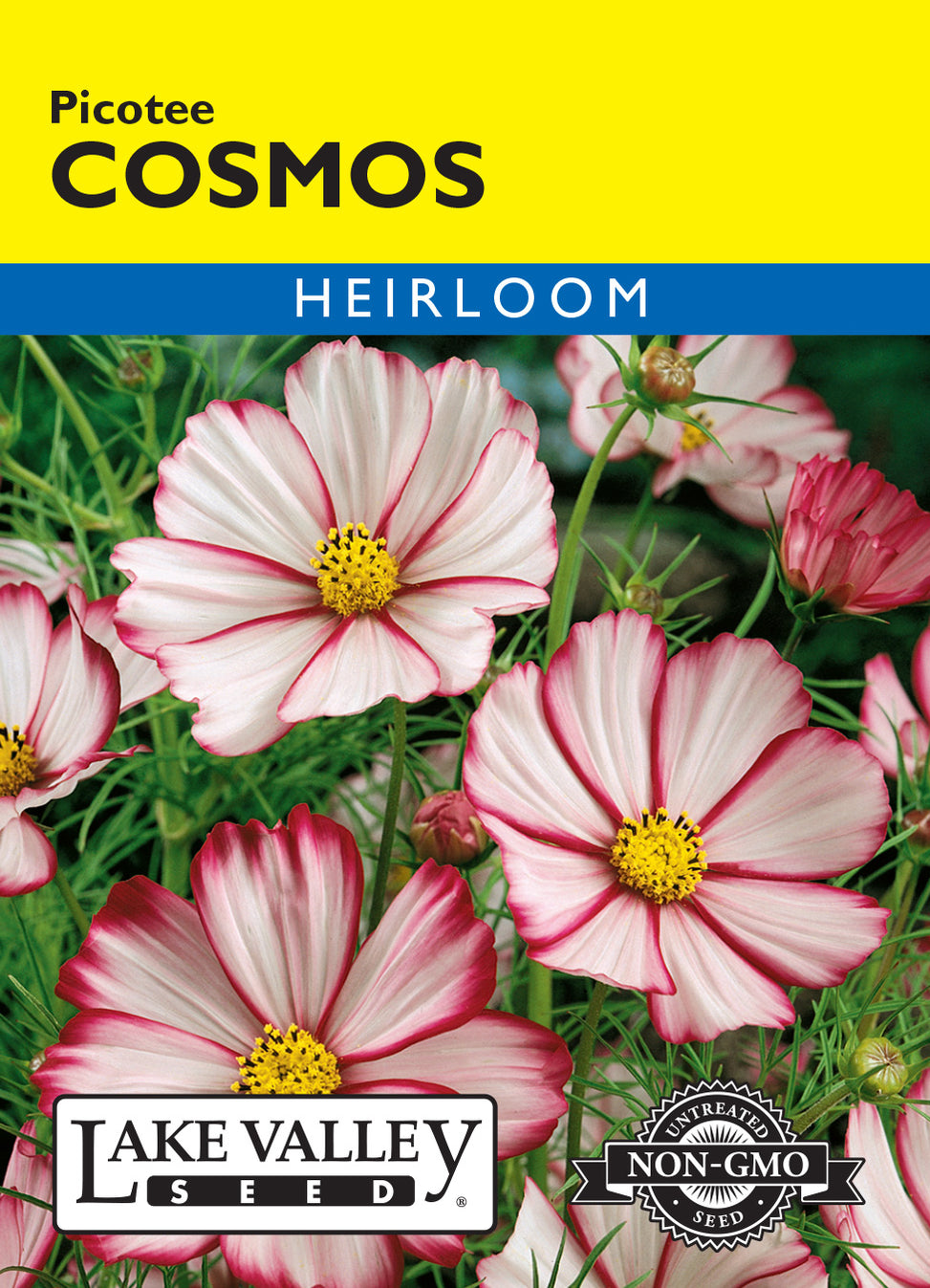 Cosmos Seed — Rohrer Seeds