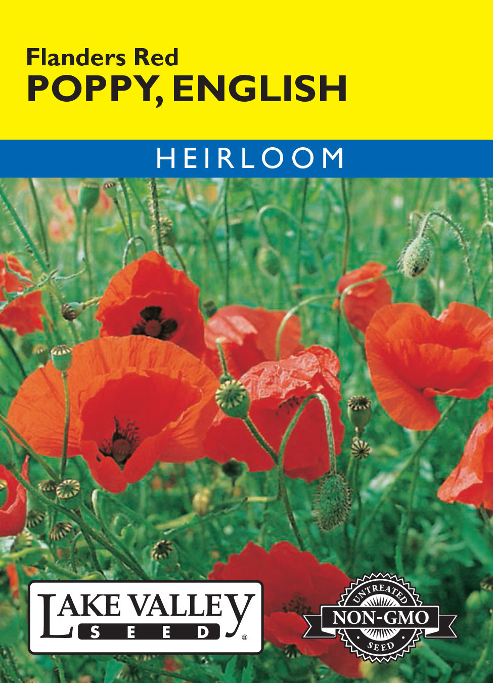 English Flanders Red Poppy — Rohrer Seeds