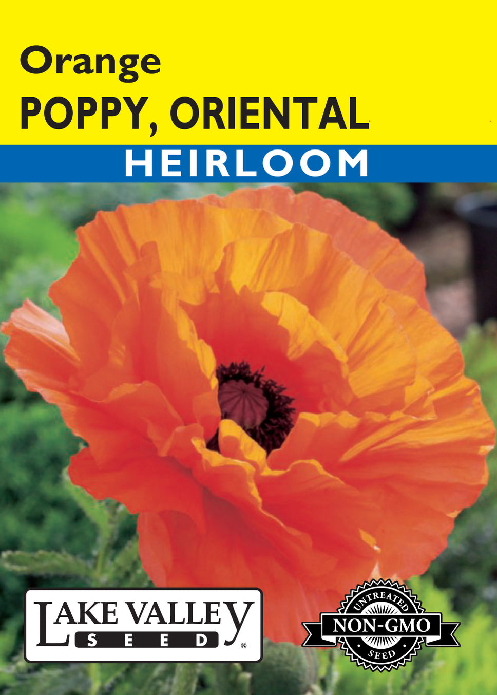 Poppy — Rohrer Seeds