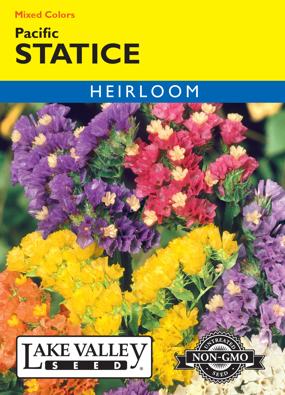 Pacific Mixed Colors Statice — Rohrer Seeds