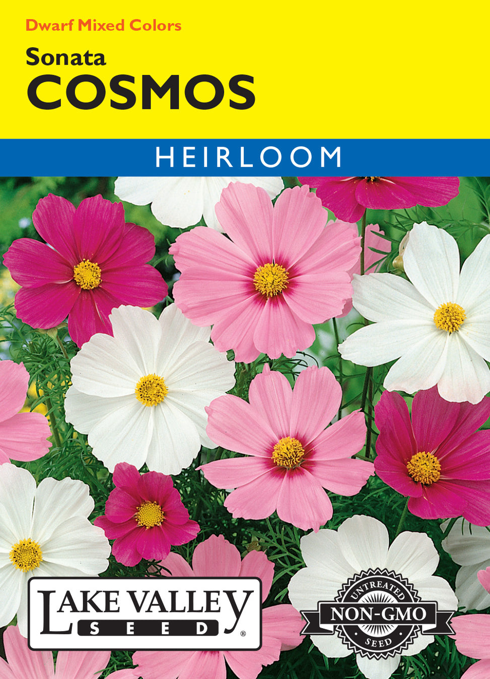 Cosmos Seed — Rohrer Seeds