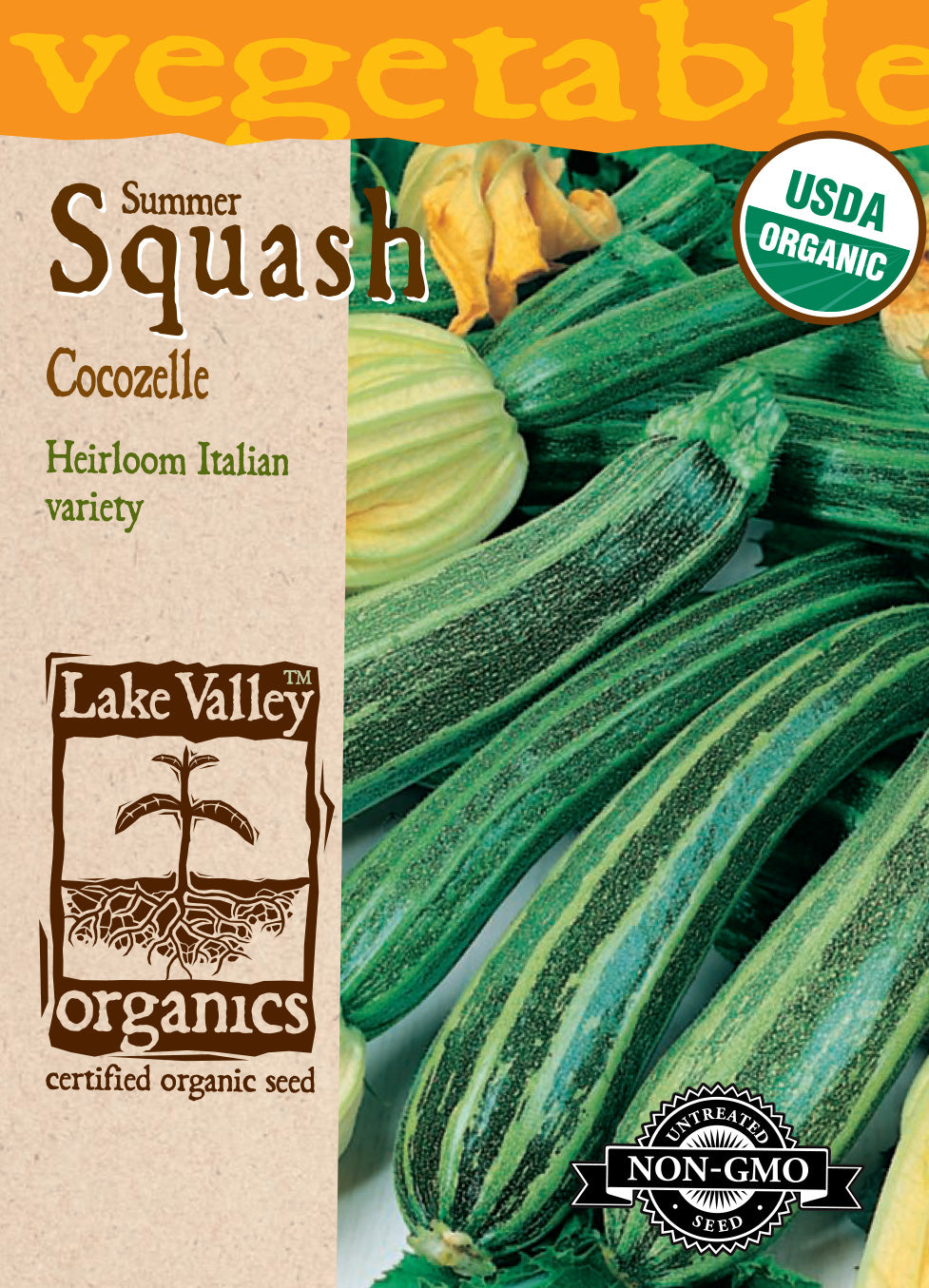 Organic Cocozelle Summer Squash — Rohrer Seeds