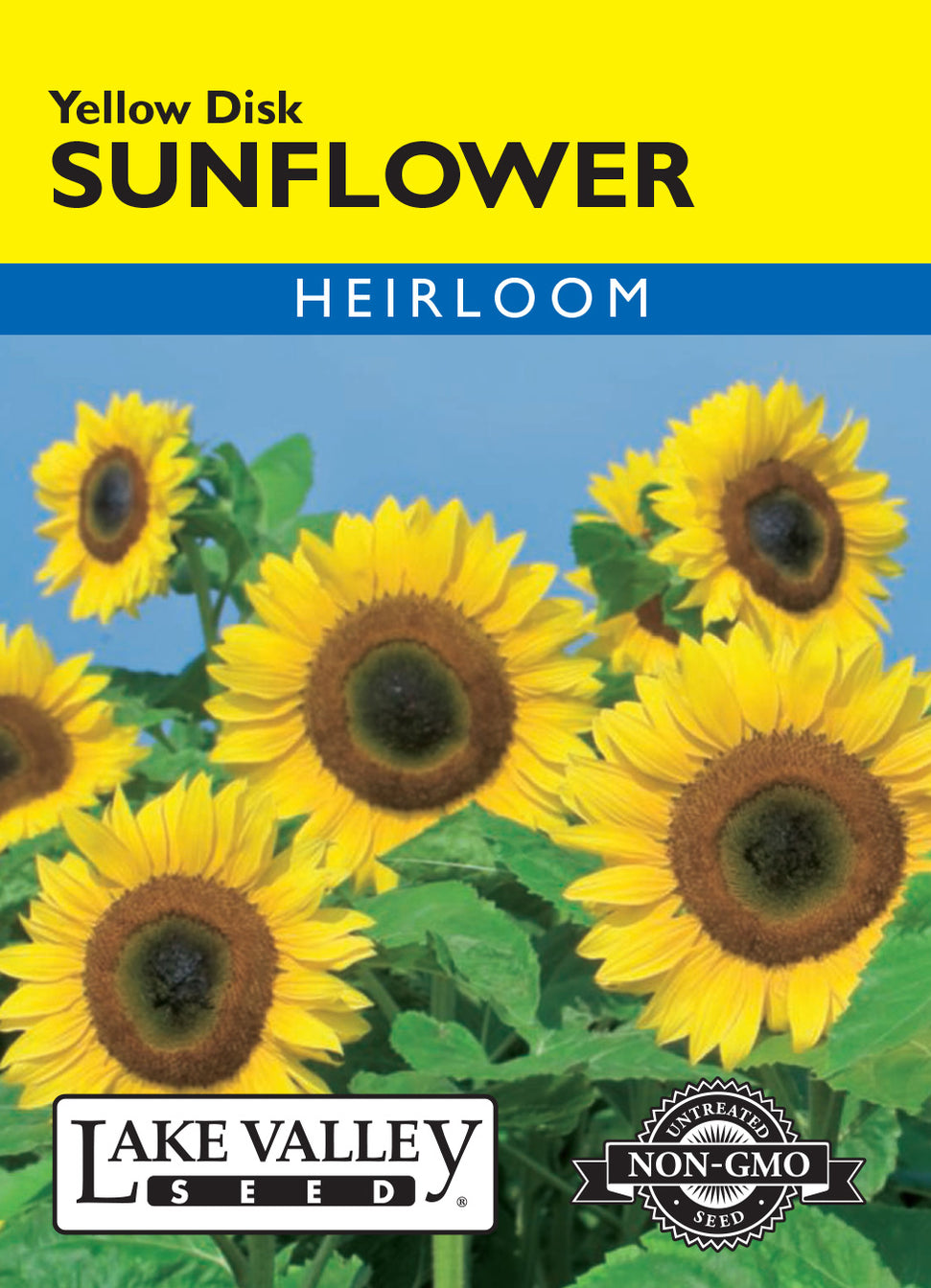Yellow Disk Sunflower — Rohrer Seeds