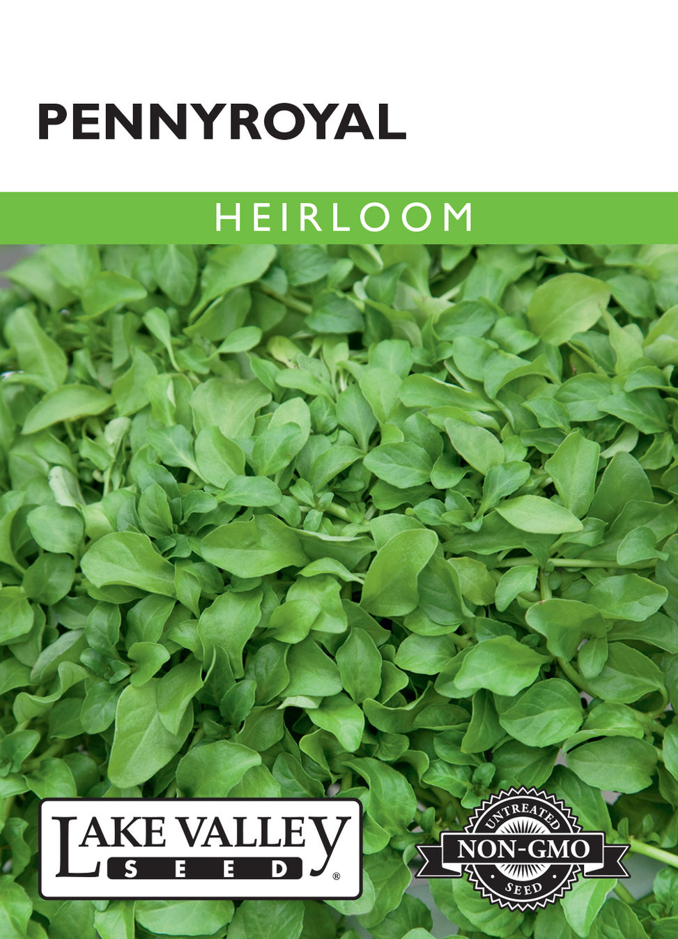 Pennyroyal — Rohrer Seeds