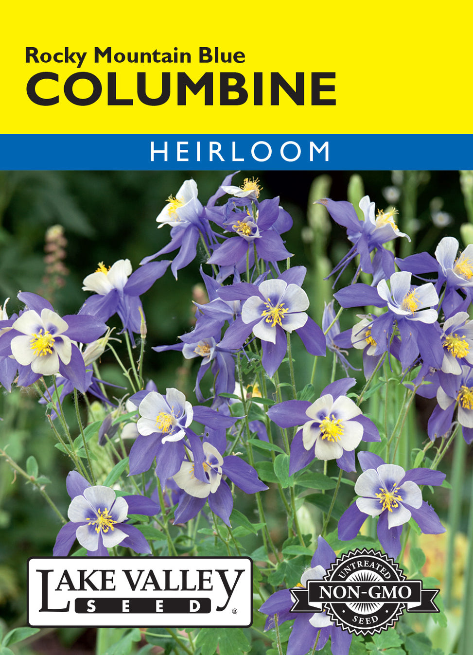 Columbine Flower Seeds — Rohrer Seeds