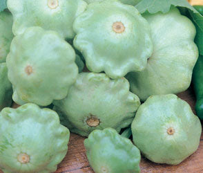 Lunar Eclipse Squash Seeds | Rohrer Seeds