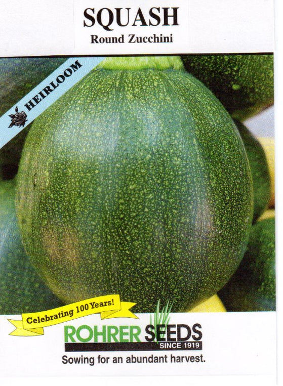 Round Zucchini Squash Seeds — Rohrer Seeds