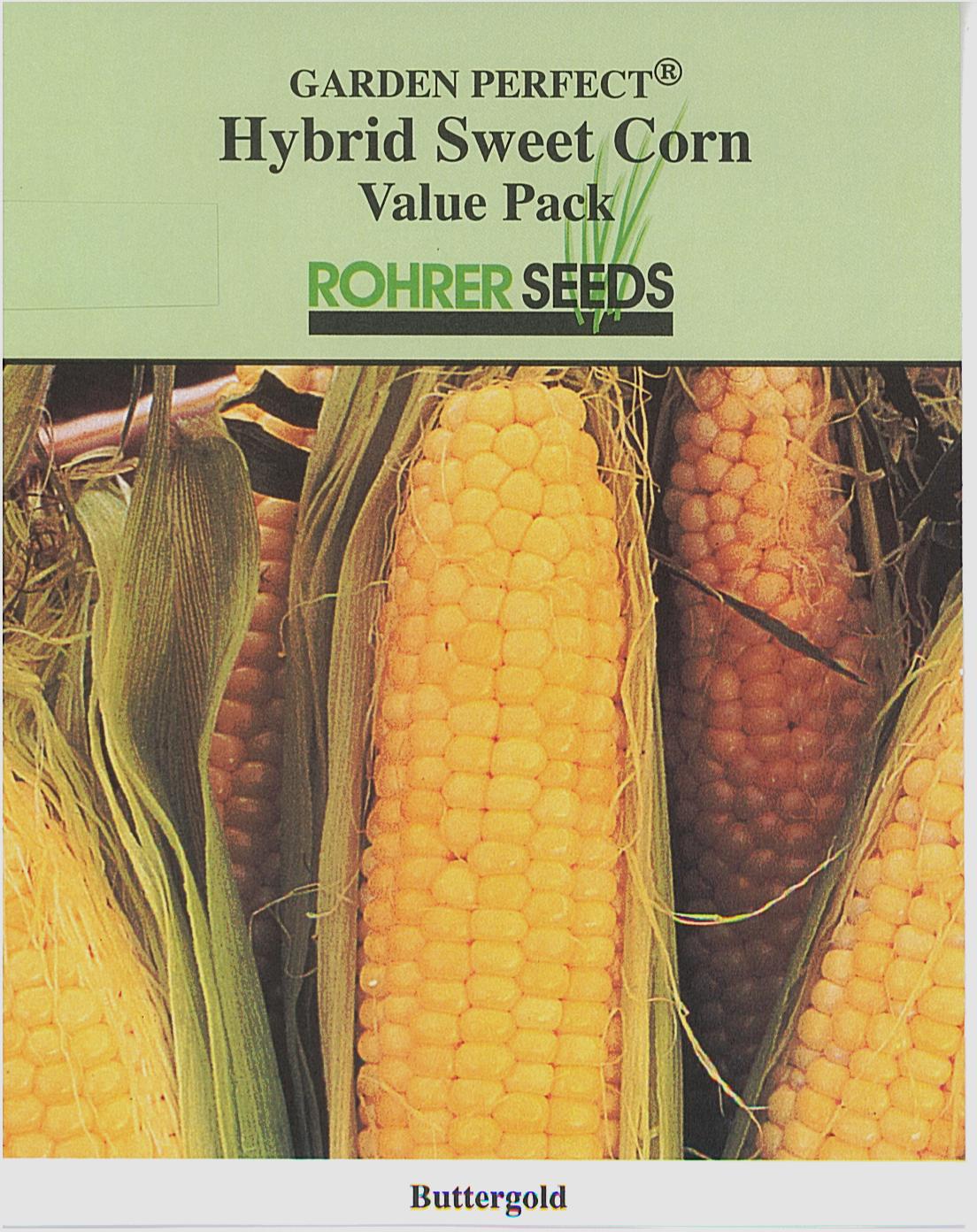 Super Sweet Corn Varieties