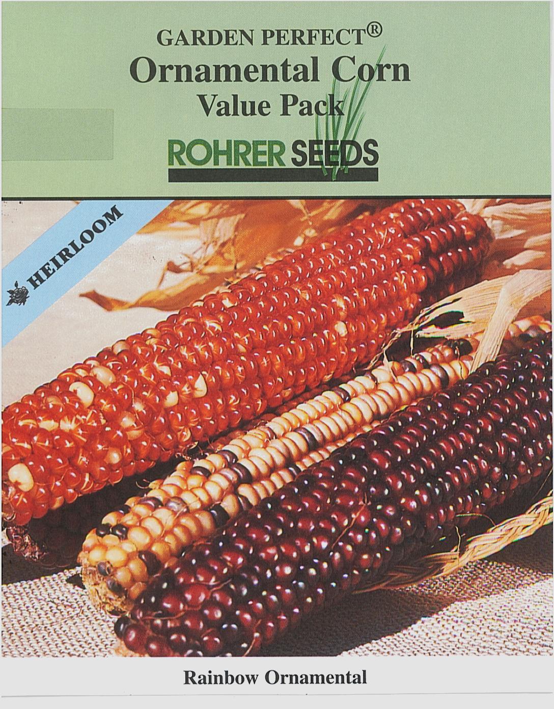 Rainbow Ornamental Corn Seeds — Rohrer Seeds