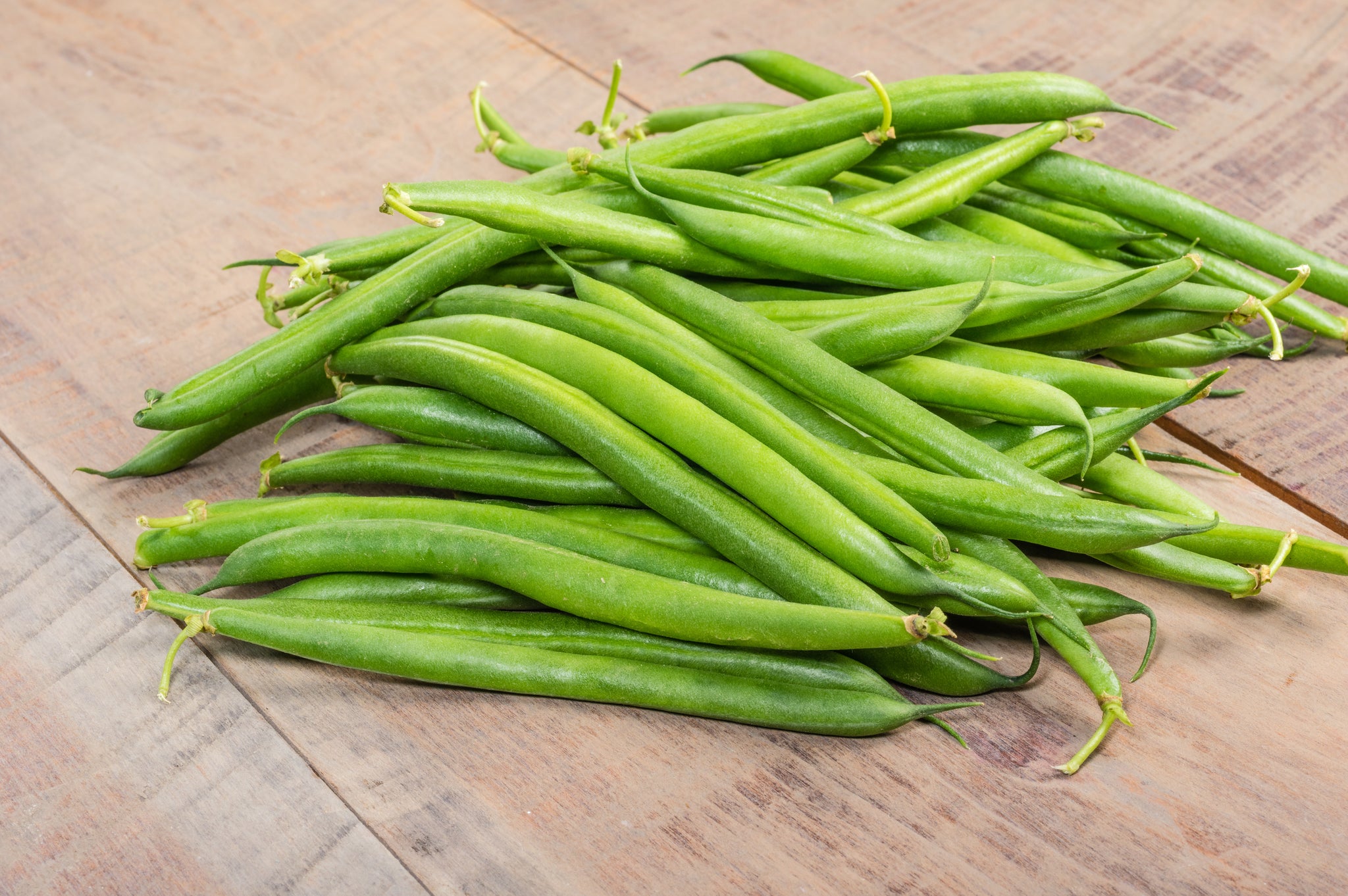 Bush Bean Seeds — Rohrer Seeds