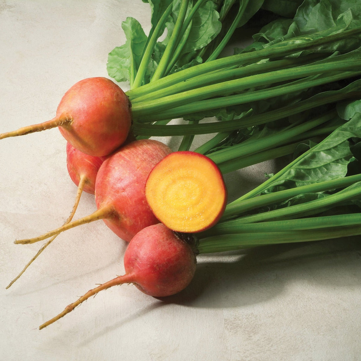 Touchstone Gold Beet Seeds — Rohrer Seeds