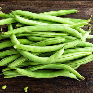 Burpees Stringless Green-pod Bush Bean Seeds — Rohrer Seeds