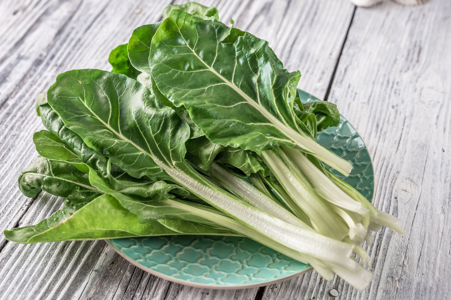 Swiss Chard Seeds — Rohrer Seeds