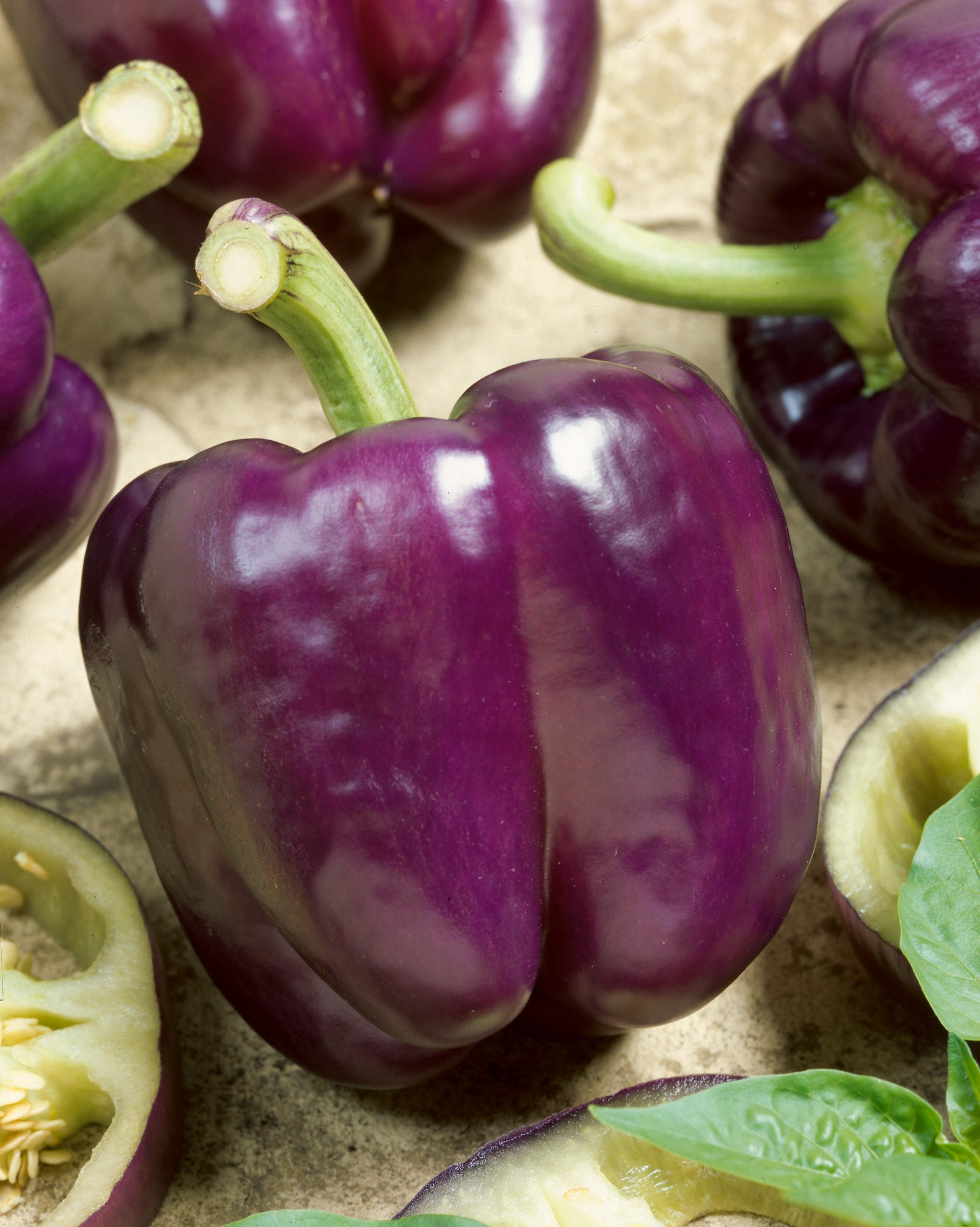 Pepper - Sweet — Rohrer Seeds