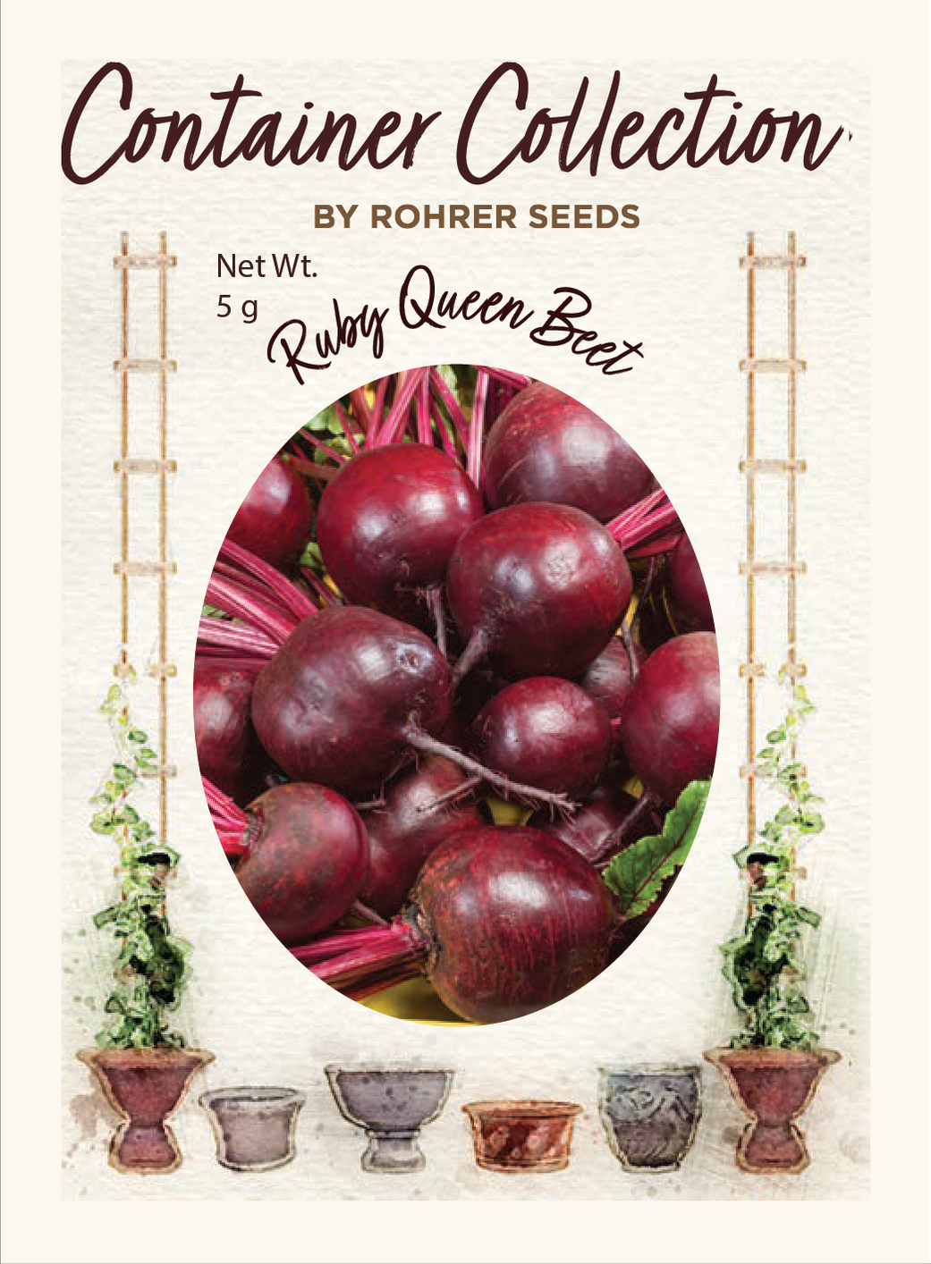 Ruby Queen Beet (200 seeds), Container Collection — Rohrer Seeds