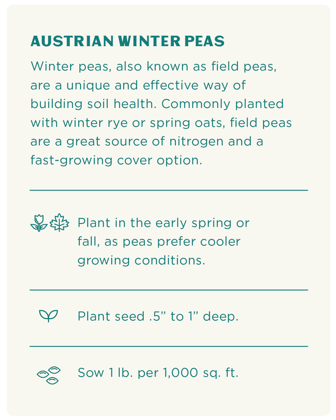 Austrian Winter Pea Seeds — Rohrer Seeds