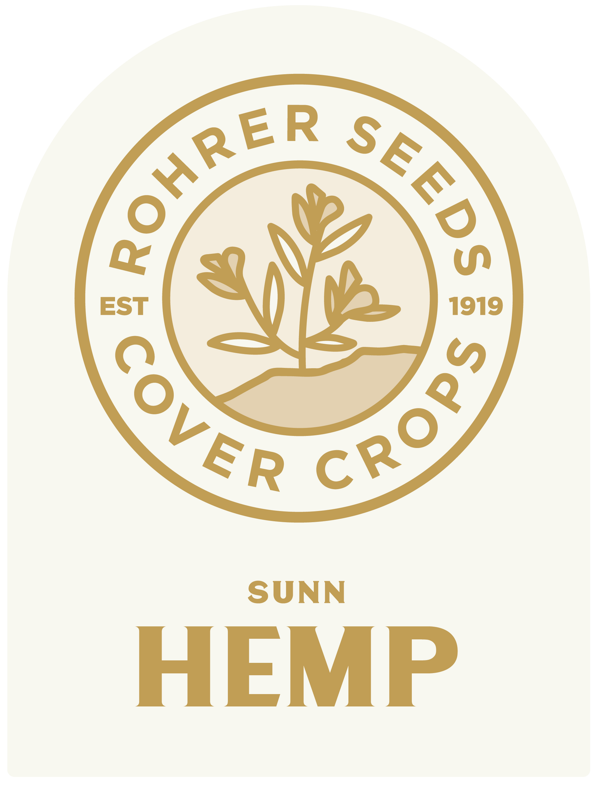 Sunn Hemp Seed (5lb) — Rohrer Seeds