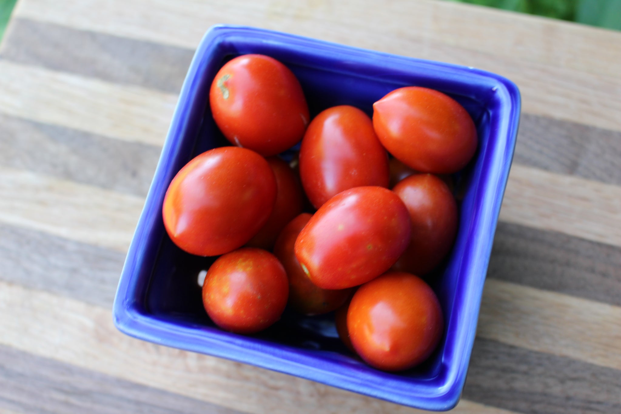 Cherry/ Grape Tomato Seeds — Rohrer Seeds