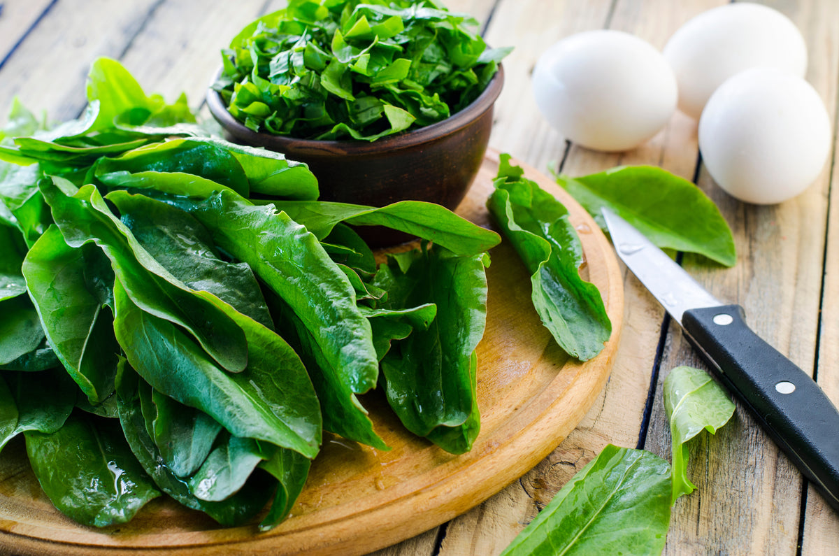 Sorrel Seeds — Rohrer Seeds